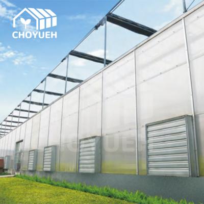 China Versatile Polycarbonate Sheet Greenhouse Weather Resistance Customization for sale