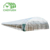 China Hot Dip Glavanized Steel Polytunnel Greenhouse 10X30m Single Span for sale