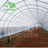 China Single Span PE Film Tunnel Greenhouse With Galvanized Steel Frame for sale