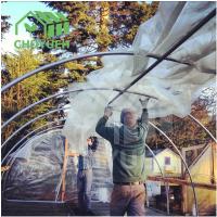China Single Span PE Film Tunnel Greenhouse With Galvanized Steel Frame for sale