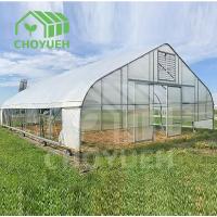 China Hot Dip Glavanized Steel Polytunnel Greenhouse 10X30m Single Span for sale
