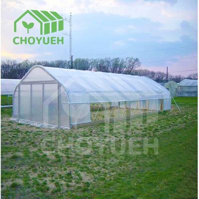 China Light Transmittance Tunnel Greenhouse with Mechanical Ventilation and Optional Cooling System for sale