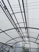 China Double Layer PE Film Multi Span Film Greenhouse With Hydroponic System for sale