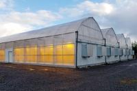 China Various Sizes Light Deprivation Greenhouse with Automatic Shading System for sale