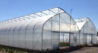 China Aluminum Zinc Plating Plastic Film Greenhouse UV Protected Light Transmission Anti Aging Anti Drip for sale