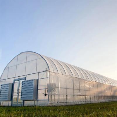 China Plastic Film Tunnel Greenhouse Kit Width 6m 8m 9m For Growing Vegetables Flowers Fruits for sale