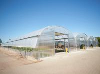 China Roof Ventilation Single Tunnel Greenhouse Flower Farm Greenhouse 10*30m for sale