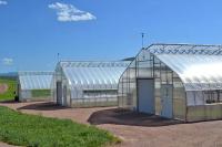 China Hot Dip Glavanized Steel Polytunnel Greenhouse 10X30m Single Span for sale