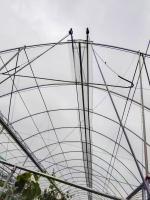 China Double Layer PE Film Multi Span Film Greenhouse With Hydroponic System for sale
