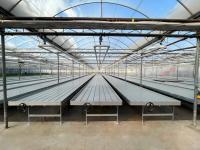 China Hydroponics Growing System Greenhouse Benches 4x8 Rolling Grow Tables for sale