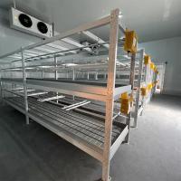 China Hydroponic Multi Layer Vertical Grow Shelf System ABS Cover for sale