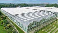 China Wind Resistance Multi Span Film Greenhouse With Ventilation System for sale