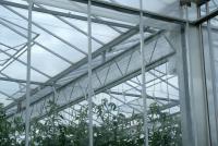 China Solar Control Tempered Insulated Glass Greenhouse Hydroponics System With Accessories for sale