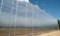 China OEM ODM Glass Enclosed Plant House Greenhouse Wind Resistance for sale