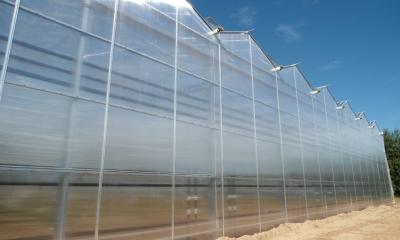 China OEM ODM Glass Enclosed Plant House Greenhouse Wind Resistance for sale