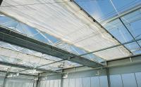 China Aquaponics Venlo Glass Greenhouse With Full Roof Windows Ventilation System for sale
