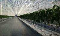 China Multi Span Large Glass Greenhouse Kit Span Width 9.6m 10.8m 12m for sale