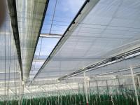 China Aquaponics Venlo Glass Greenhouse With Full Roof Windows Ventilation System for sale