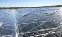 China Rectangular Glass Covered Greenhouse with High Durability Easy Installation Weather Resistant for sale