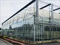 China Multi Span Large Glass Greenhouse Kit Span Width 9.6m 10.8m 12m for sale