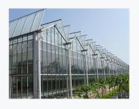 China Rectangular Glass Covered Greenhouse with High Durability Easy Installation Weather Resistant for sale