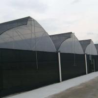 China Transparent Plastic Film Greenhouse UV Resistant Anti Aging Anti Fog Anti Dust Customizable Sizes for sale