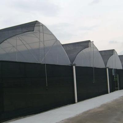 China Transparent Plastic Film Greenhouse UV Resistant Anti Aging Anti Fog Anti Dust Customizable Sizes for sale