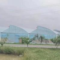 China Sawtooth Roof Multi Span Plastic Film Greenhouse Width 6m 8m 9m for sale
