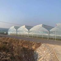 China Sawtooth Roof Multi Span Plastic Film Greenhouse Width 6m 8m 9m for sale