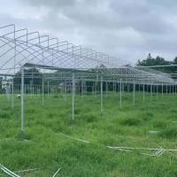 China Plastic Film Polytunnel Greenhouse Sawtooth Greenhouse 10X30m for sale