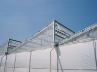 China PO/PEP/HDPE Plastic Film Sawtooth Plastic Tunnel Greenhouse for sale