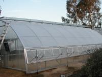 China UV Protected Plastic Film Greenhouse with High Wind Resistance and UV Protection for sale