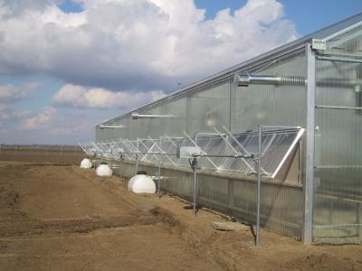 China Customized Plastic Film Greenhouse Structure with Shading Rate 20%-90% for sale