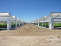 China Polycarbonate Multi Span Plastic Film Greenhouse Plastic Tomato Greenhouse OEM for sale