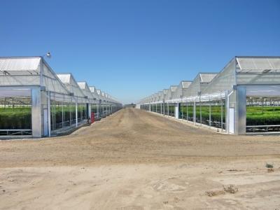China Saw Tooth Greenhouse 4 Seasons Green House With Heating System for sale