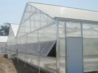 China Polycarbonate Multi Span Plastic Film Greenhouse Plastic Tomato Greenhouse OEM for sale