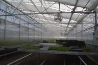 China PE Plastic Film Greenhouse Multi Span Sawtooth Turnkey Project for sale
