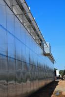China Tropical Area Vegetable Plastic Film Greenhouse For Hydroponic Growing for sale