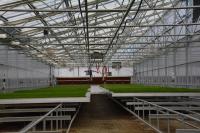 China PE Plastic Film Greenhouse Multi Span Sawtooth Turnkey Project for sale