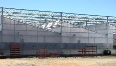 China Plastic Film Greenhouse Structure For Optimal Shading And Wind Resistance for sale