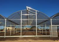 China Plastic Film Greenhouse Structure For Optimal Shading And Wind Resistance for sale