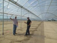 China Multi Span Film Hydroponic Garden Greenhouse 10X30m Customizable for sale