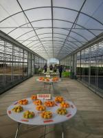China Multi Tunnel Plastic Film Greenhouse 10x30m Customizable for sale