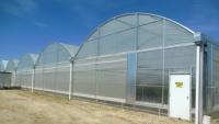 China Multi Span Film Hydroponic Garden Greenhouse 10X30m Customizable for sale