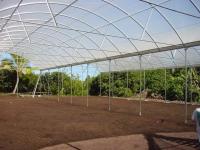 China PE Plastic Film Strawberry Plant Greenhouse With Hydroponics System for sale