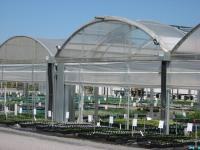 China Multi Tunnel Plastic Film Greenhouse 10x30m Customizable for sale
