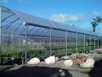 China Multi Span Film Hydroponic Garden Greenhouse 10X30m Customizable for sale