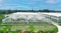 China Saw Tooth Type PE Film Greenhouse Width 6m 8m 9m 10m 12m for sale