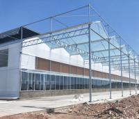 China Agricultural Plastic Film Greenhouse Length 32m-80m With Hot Dipped Galvanized Steel Frame for sale