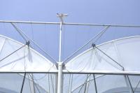 China Agricultural Plastic Film Greenhouse Length 32m-80m With Hot Dipped Galvanized Steel Frame for sale